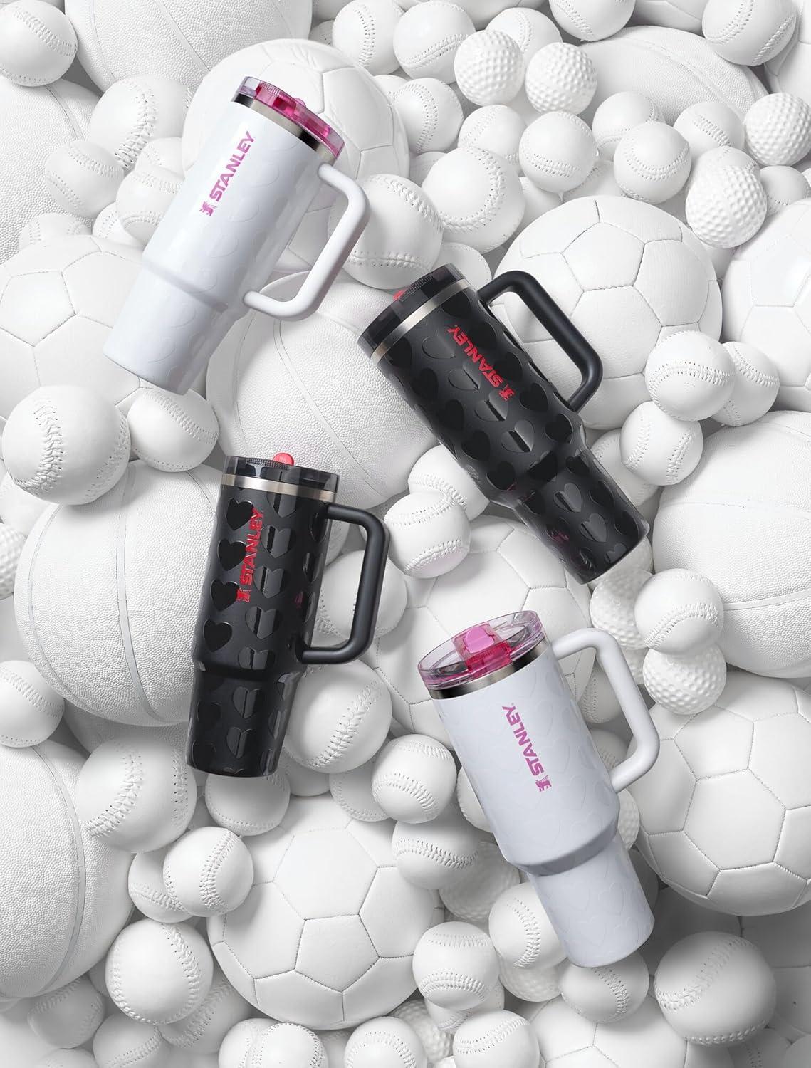 STANLEY Quencher ProTour Flip Straw Tumbler with Leakproof Lid | Built ...